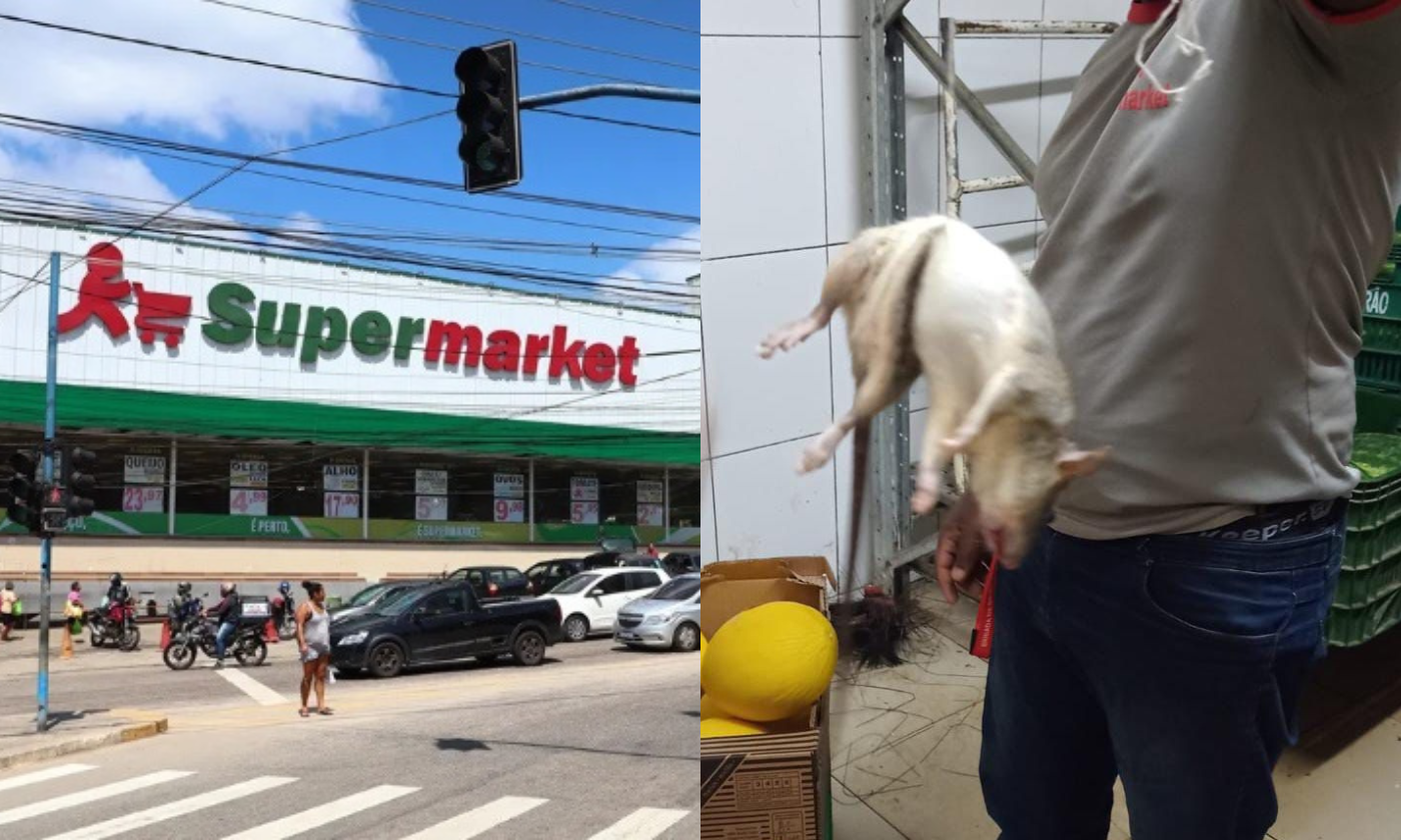 Após denúncia de rato gigante, supermercado é autuado em Niterói ...
